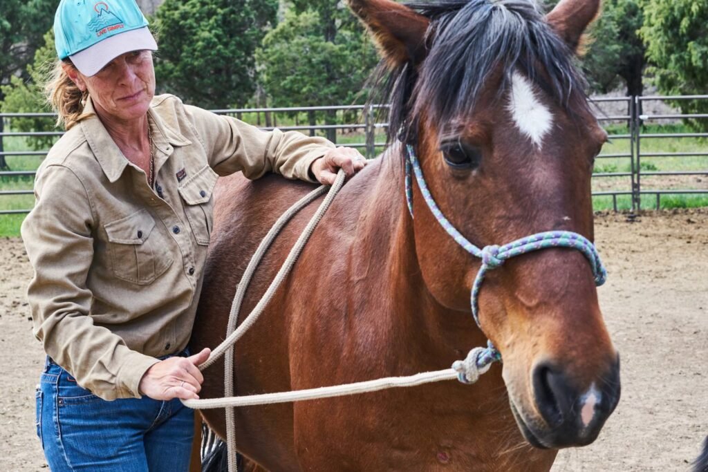 Ep. 11 Maddy Butcher, Founder of Best Horse Practices Summit, Podcast ...