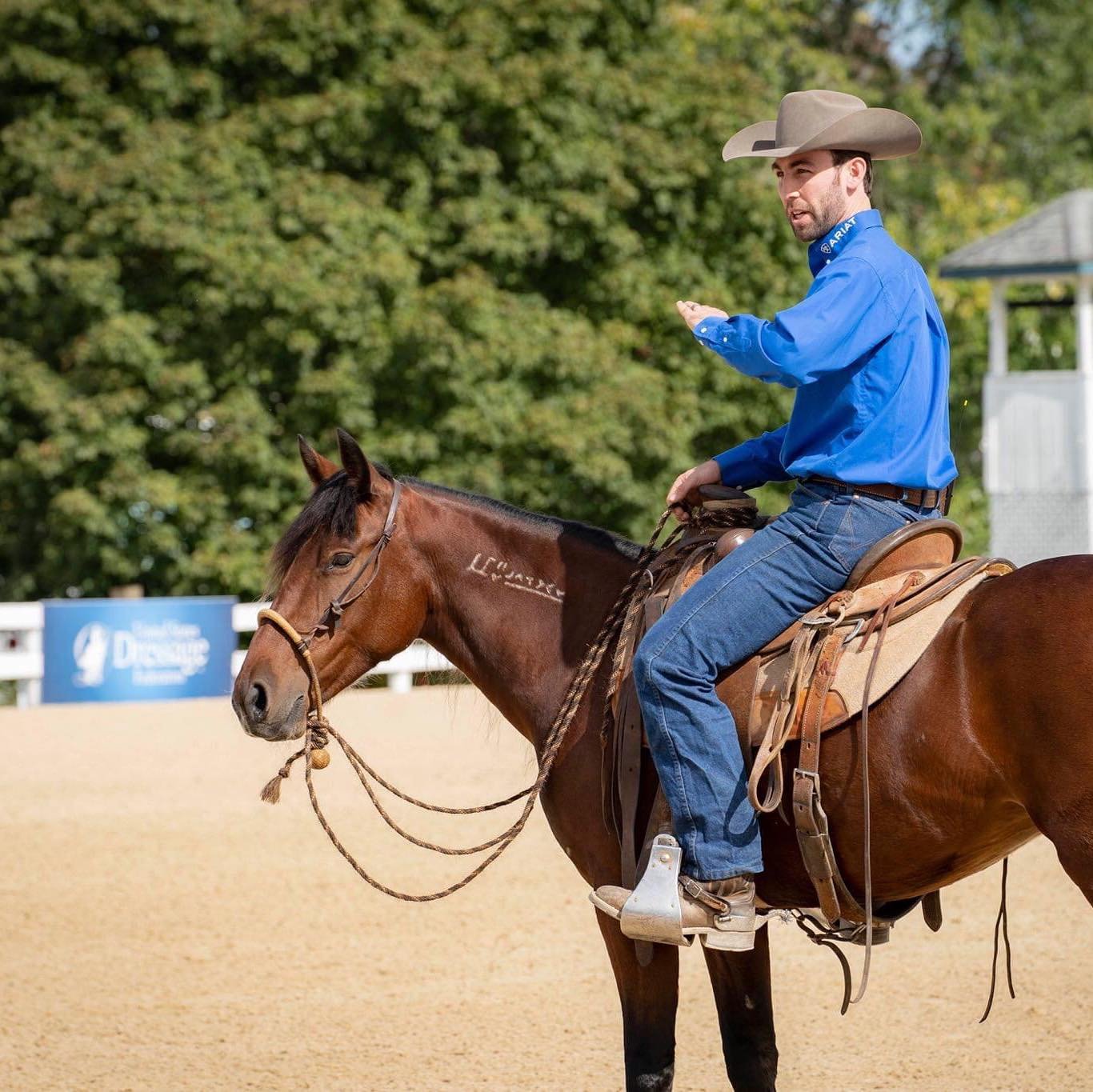 Ep. 43 Colton Woods, Cinderella of Cats, Clinician, Horse Business ...